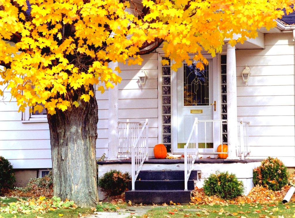 Why Fall Can Be The Perfect Season For Buying Or Selling Real Estate ...